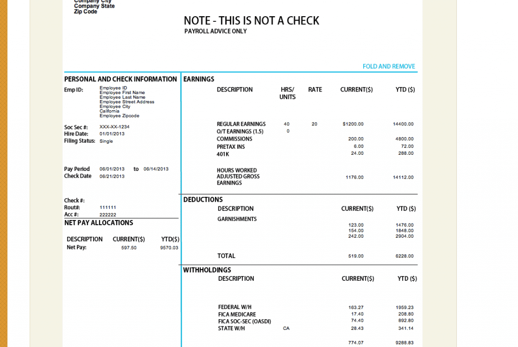 New Pay Stub Template PayCheck Stub Online