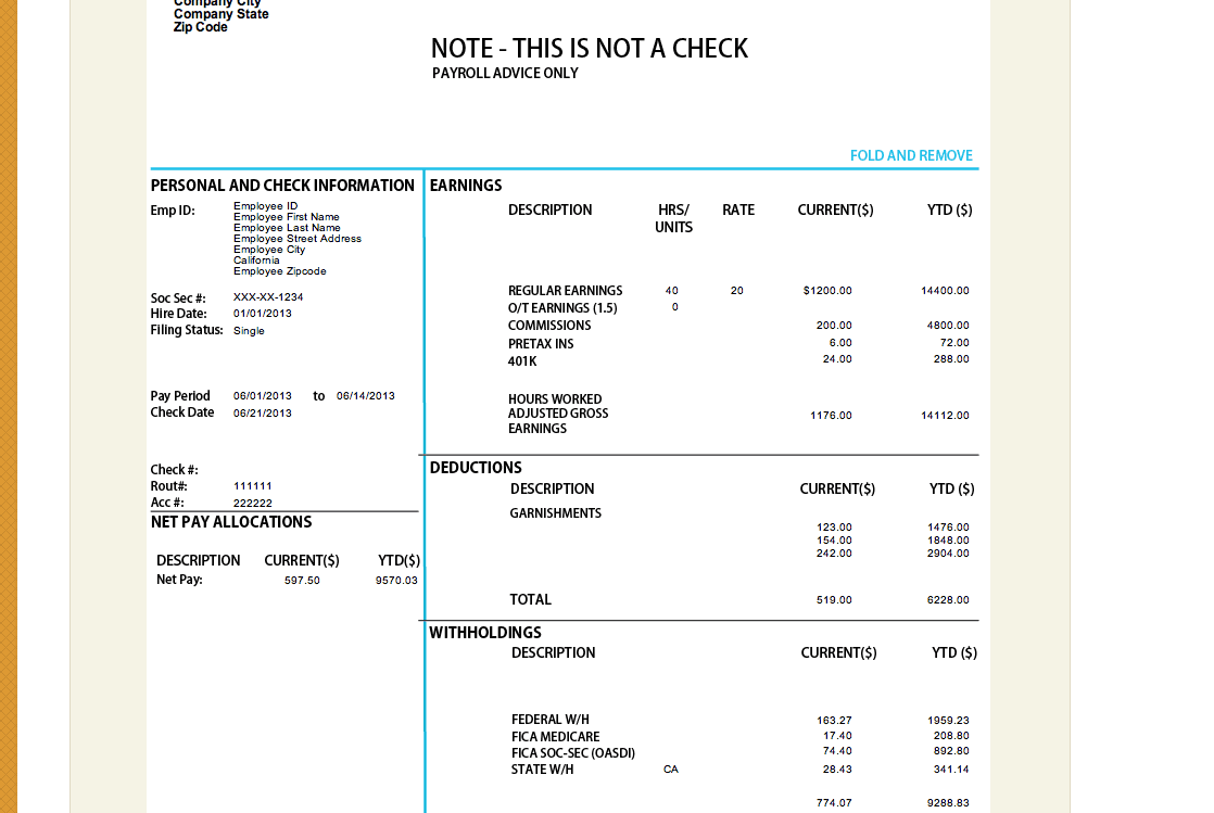 Paystub Generator Cdopec