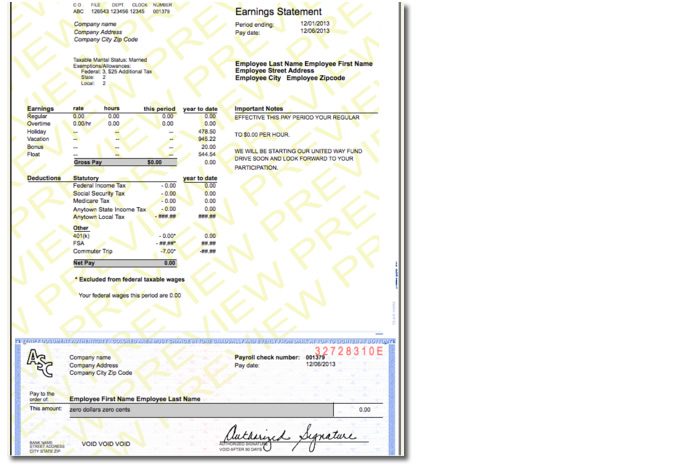 Modern Paystub template PayCheck Stub Online